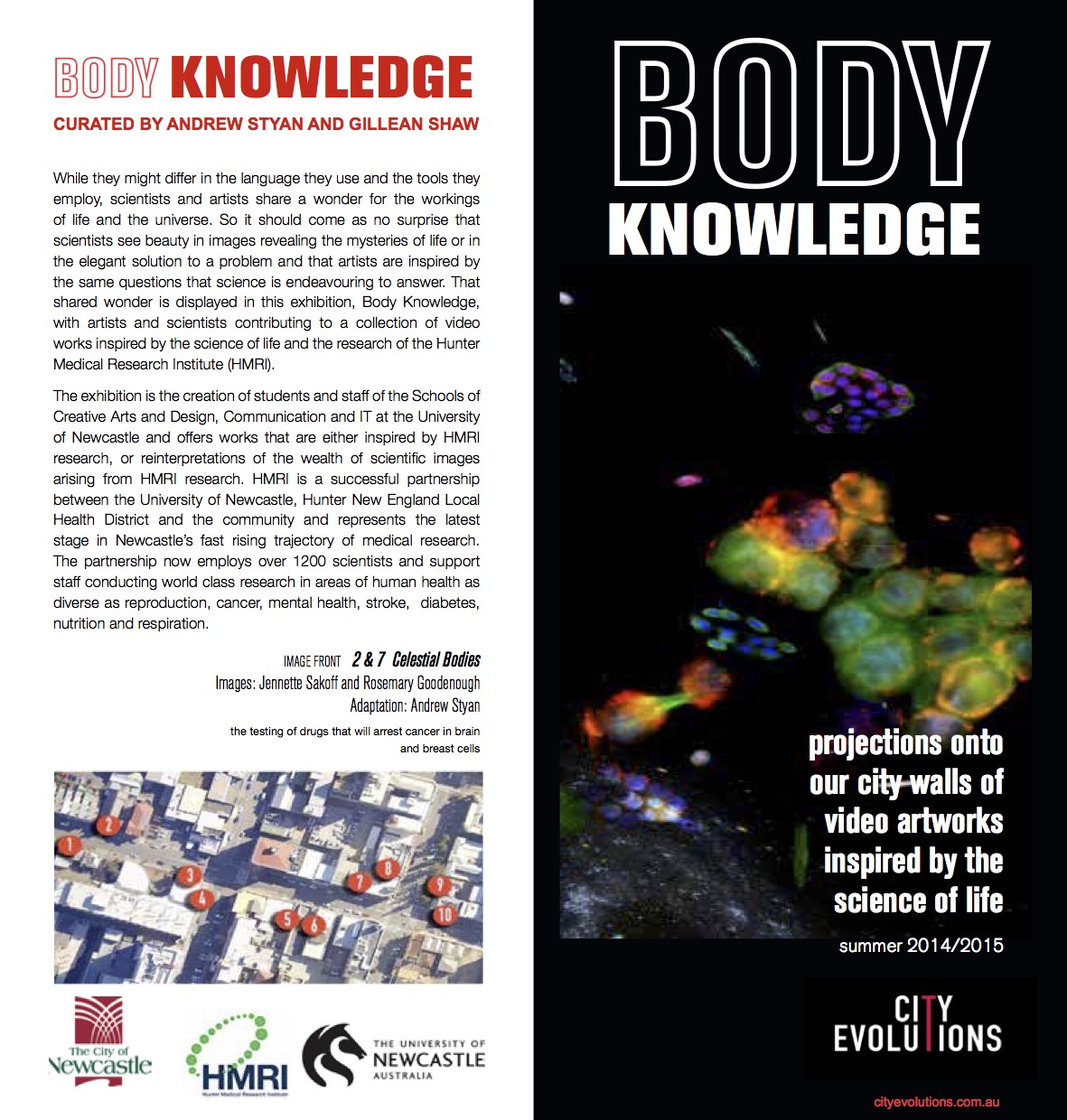 Body Knowledge | Andrew Styan